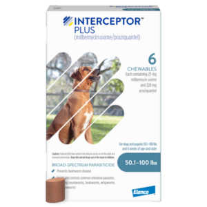 Interceptor® Plus Chewable Tablets for Dogs | Heartworms, adult ...
