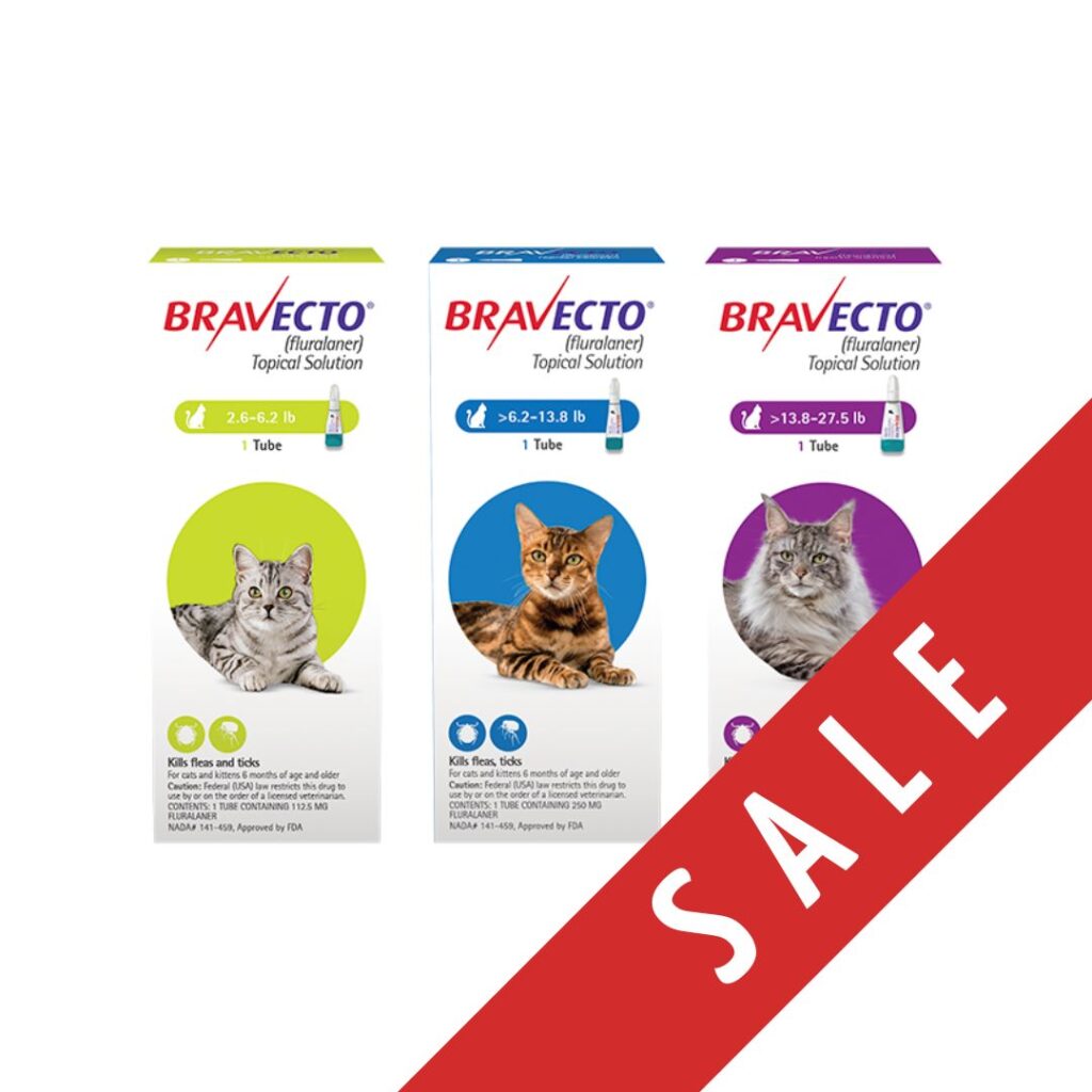 Bravecto® Topical Solution for Cats | Fleas & ticks - TCAP